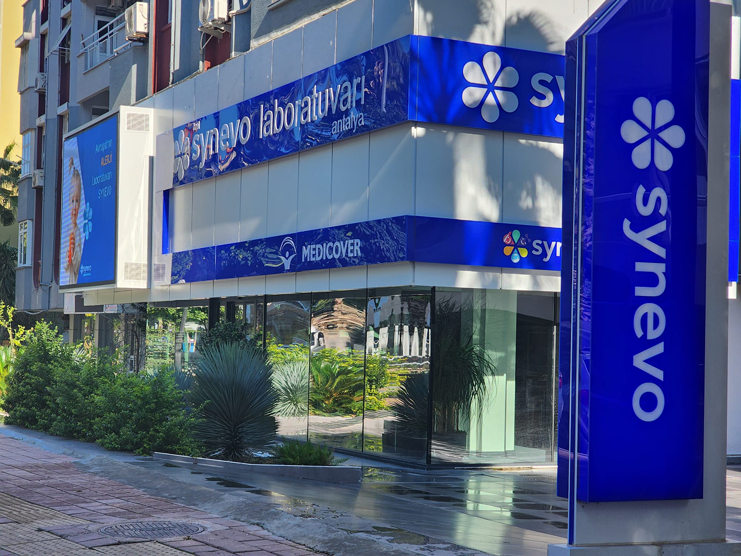 Antalya Şube | Synevo Laboratuvarları